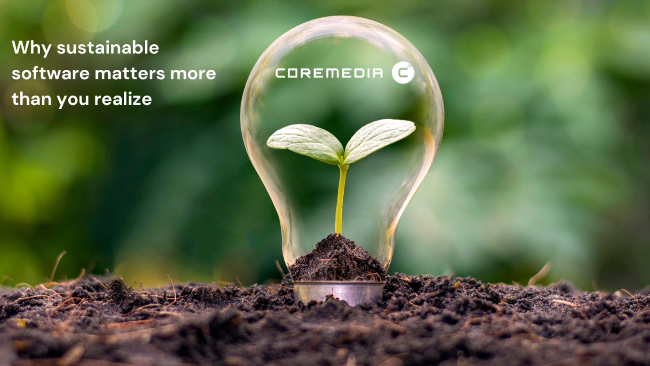 Why sustainable software matters more than you realize | CoreMedia DXP